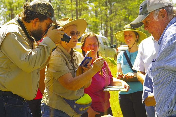 Plants, Plants, More Plants! – Louisiana Master Naturalists – Northeast