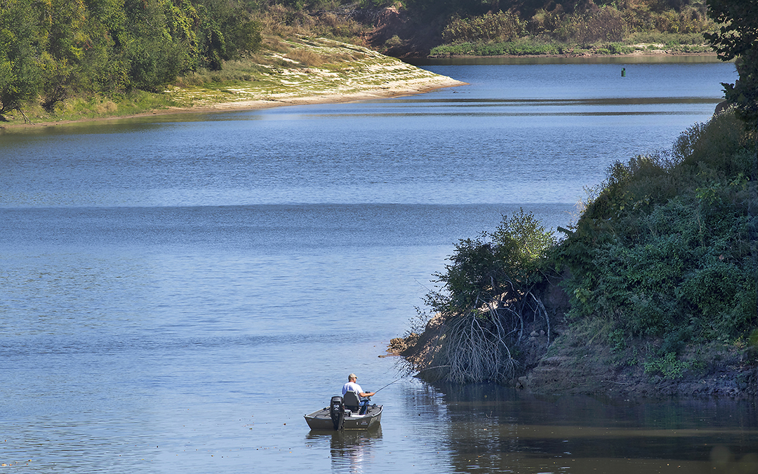 Saturday+ – Louisiana Master Naturalists – Northeast