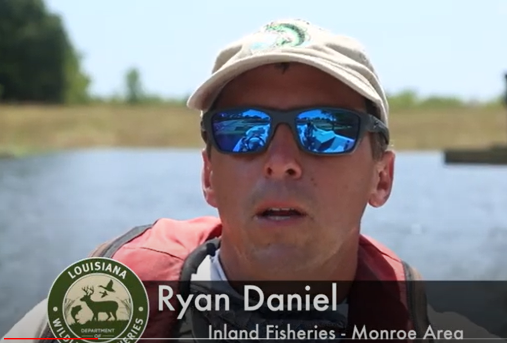 Something Fishy – Fish Biology Workshop August 10 – Louisiana Master ...